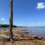 Little Gap Trail, South Carolina - 644 Reviews, Map | AllTrails