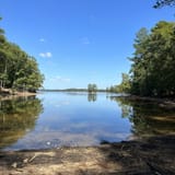 Little Gap Trail, South Carolina - 644 Reviews, Map | AllTrails