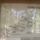 Little Gap Trail, South Carolina - 644 Reviews, Map | AllTrails