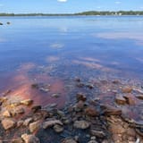 Little Gap Trail, South Carolina - 644 Reviews, Map | AllTrails