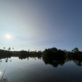 Gary Shell Cross City Trail, North Carolina - 239 Reviews, Map | AllTrails