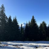 Excelsior Pass Trail, Washington - 571 Reviews, Map | AllTrails