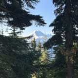 Excelsior Pass Trail, Washington - 570 Reviews, Map | AllTrails