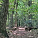 Aman Park Loop, Michigan - 1,217 Reviews, Map | AllTrails