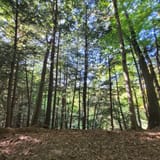Aman Park Loop, Michigan - 1,217 Reviews, Map | AllTrails