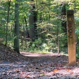 Aman Park Loop, Michigan - 1,217 Reviews, Map | AllTrails