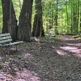 Aman Park Loop, Michigan - 1,217 Reviews, Map | AllTrails