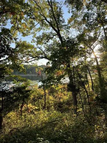 2023 Best Camping Trails in Pinckney Recreation Area | AllTrails