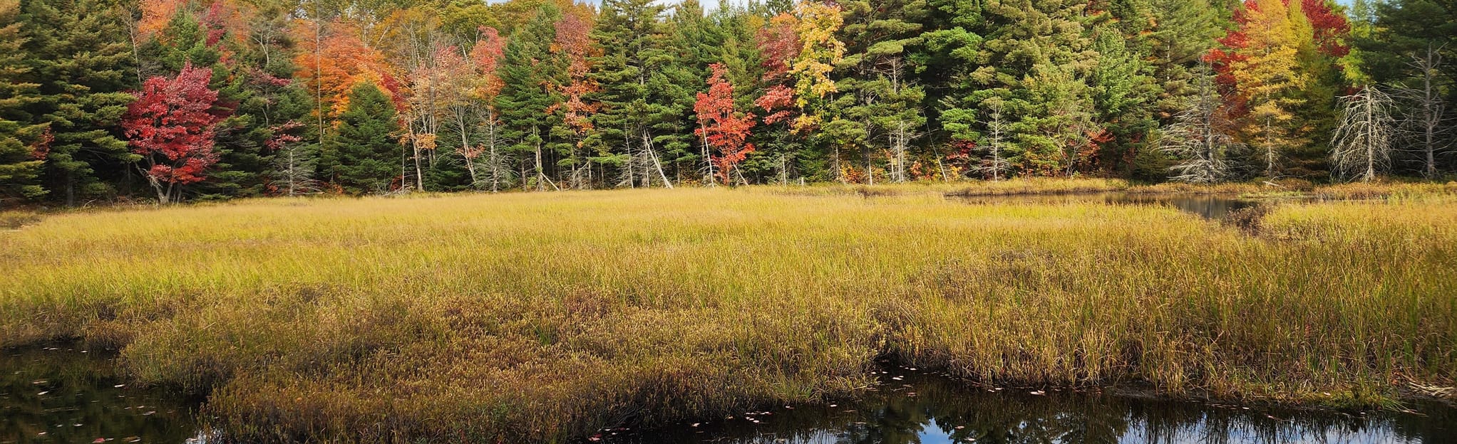 Centennial Ridges Trail, Ontario, Canada - 2,057 Reviews, Map | AllTrails