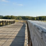 Neabsco Creek Boardwalk, Virginia - 966 Reviews, Map | AllTrails
