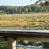 Neabsco Creek Boardwalk, Virginia - 966 Reviews, Map | AllTrails