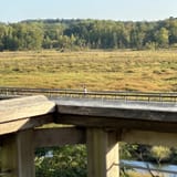 Neabsco Creek Boardwalk, Virginia - 966 Reviews, Map | AllTrails