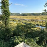 Neabsco Creek Boardwalk, Virginia - 966 Reviews, Map | AllTrails