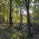 Neabsco Creek Boardwalk, Virginia - 966 Reviews, Map | AllTrails