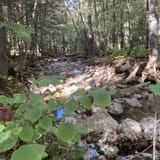 Champney Falls Trail, New Hampshire - 1,513 Reviews, Map | AllTrails