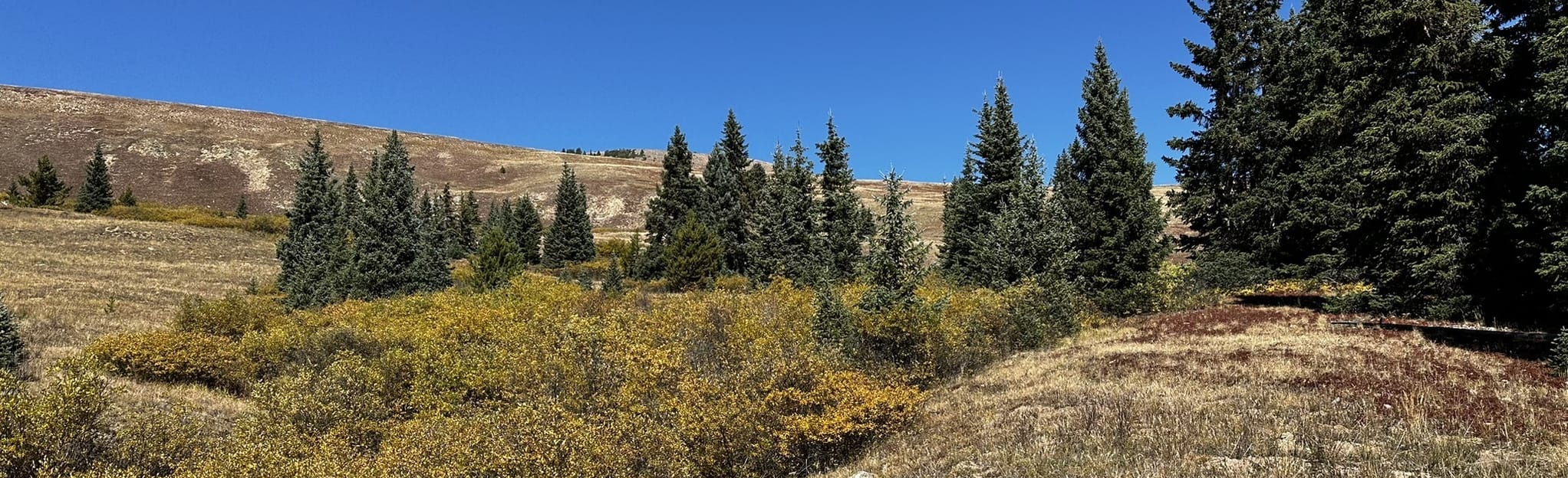 Sangree Froelicher Hut, Colorado - 107 Reviews, Map | AllTrails