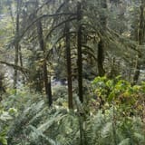 Enchanted Valley Chalet via East Fork Quinault River Trail, Washington ...