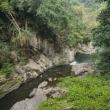 Crystal Cascades to Copperlode Dam, Queensland, Australia - 205 Reviews ...