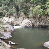 Crystal Cascades to Copperlode Dam, Queensland, Australia - 205 Reviews ...