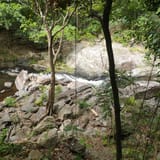 Crystal Cascades to Copperlode Dam, Queensland, Australia - 205 Reviews ...