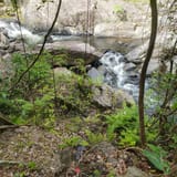 Crystal Cascades to Copperlode Dam, Queensland, Australia - 205 Reviews ...