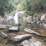 Crystal Cascades to Copperlode Dam, Queensland, Australia - 245 Reviews ...