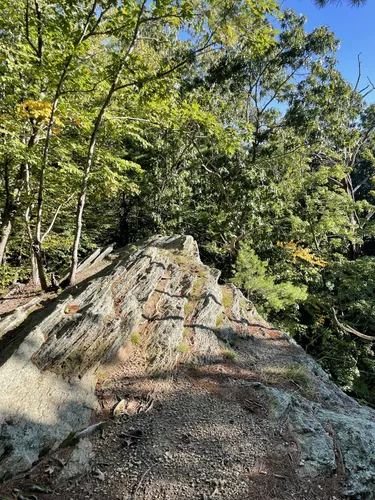 Best Hikes and Trails in Snake Den State Park | AllTrails