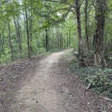 Neabsco Creek Boardwalk, Virginia - 964 Reviews, Map | AllTrails