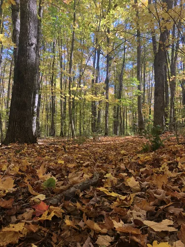 Best Hikes and Trails in Eagle River | AllTrails