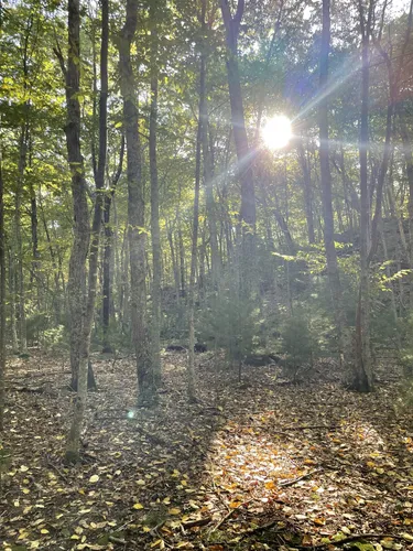 Best Hikes and Trails in Snake Den State Park | AllTrails