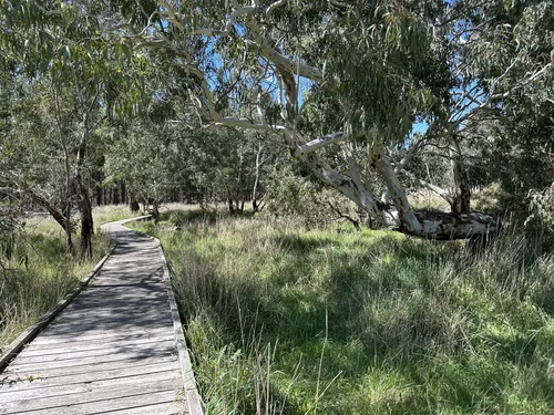 Best Backpacking Trails in Mount Crawford Forest Reserve | AllTrails