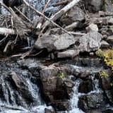 Gilpin Lake Trail, Colorado - 566 Reviews, Map | AllTrails