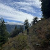 Chief Joseph Summit Trail, Oregon - 88 Reviews, Map | AllTrails