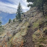 Chief Joseph Summit Trail, Oregon - 88 Reviews, Map | AllTrails