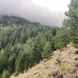 Chief Joseph Summit Trail, Oregon - 88 Reviews, Map | AllTrails