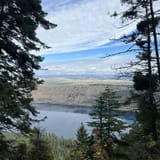 Chief Joseph Summit Trail, Oregon - 88 Reviews, Map | AllTrails
