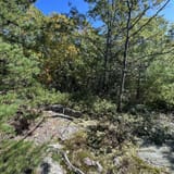 Surprise Lake Loop, New Jersey - 1,377 Reviews, Map | AllTrails