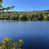 Surprise Lake Loop, New Jersey - 1,377 Reviews, Map | AllTrails