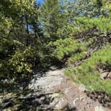 Surprise Lake Loop, New Jersey - 1,377 Reviews, Map | AllTrails
