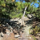 Surprise Lake Loop, New Jersey - 1,377 Reviews, Map | AllTrails