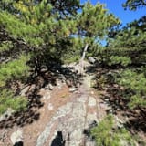 Surprise Lake Loop, New Jersey - 1,377 Reviews, Map | AllTrails