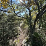 Surprise Lake Loop, New Jersey - 1,377 Reviews, Map | AllTrails