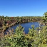 Surprise Lake Loop, New Jersey - 1,377 Reviews, Map | AllTrails