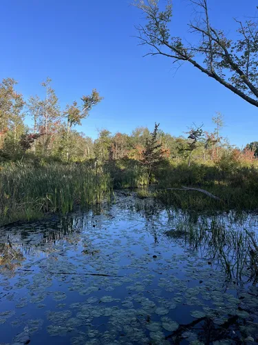 2023 Best Lake Trails in Wenham | AllTrails