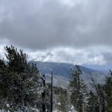 Bonanza Peak via Spring Mountain Divide Trail, Nevada - 312 Reviews ...