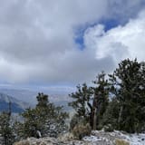Bonanza Peak via Spring Mountain Divide Trail, Nevada - 312 Reviews ...