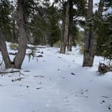 Bonanza Peak via Spring Mountain Divide Trail, Nevada - 312 Reviews ...