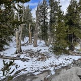 Bonanza Peak via Spring Mountain Divide Trail, Nevada - 312 Reviews ...