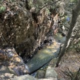 Devil's Racetrack Trail, Tennessee - 572 Reviews, Map | AllTrails