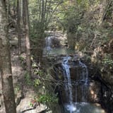 Devil's Racetrack Trail, Tennessee - 572 Reviews, Map | AllTrails